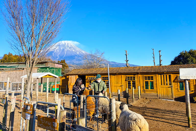 [Mount Fuji Family Check-in Recommendation] Arakurayama Park & Makaino ...